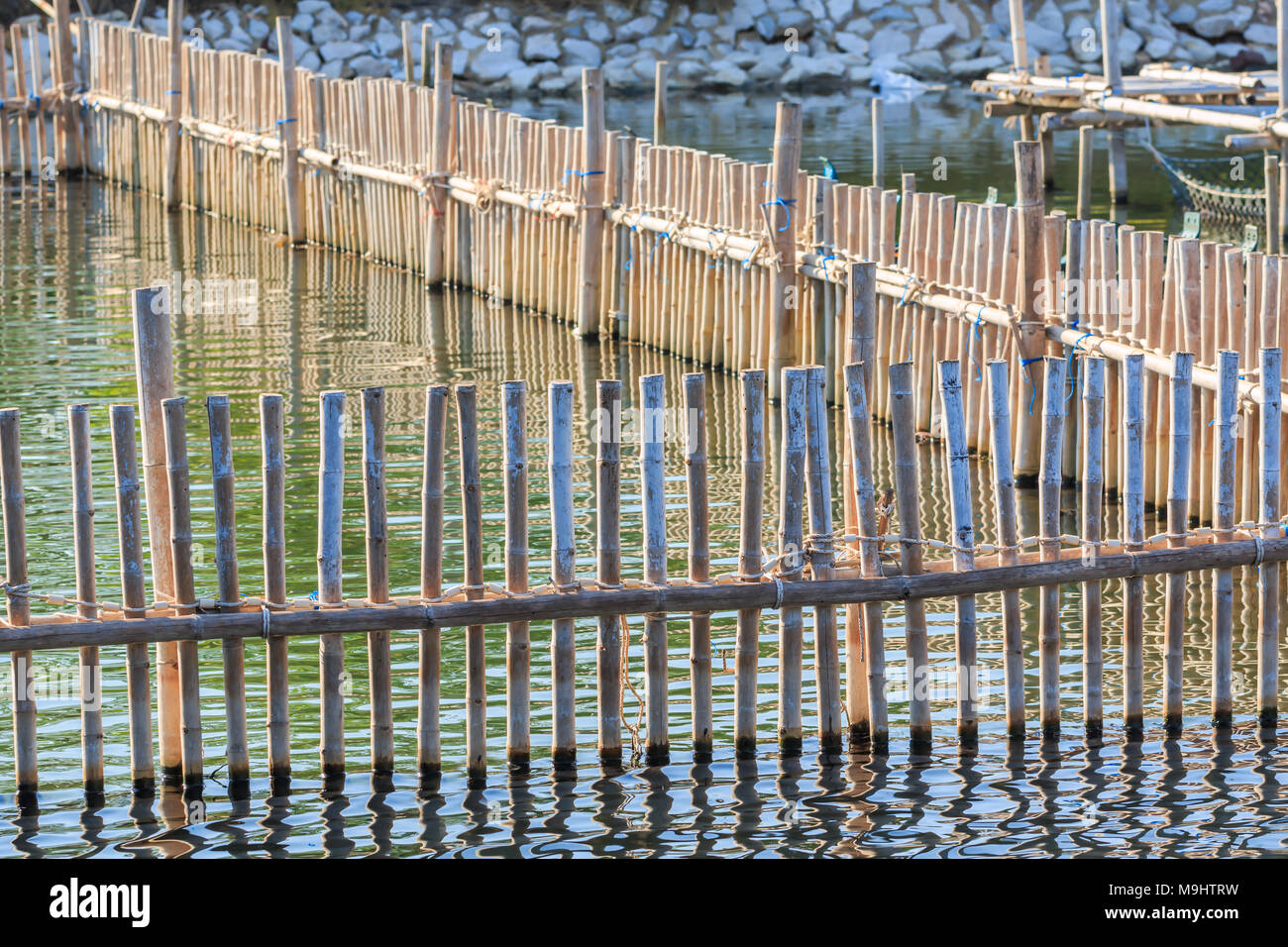 bamboo fence near the sea Stock Photo - Alamy
