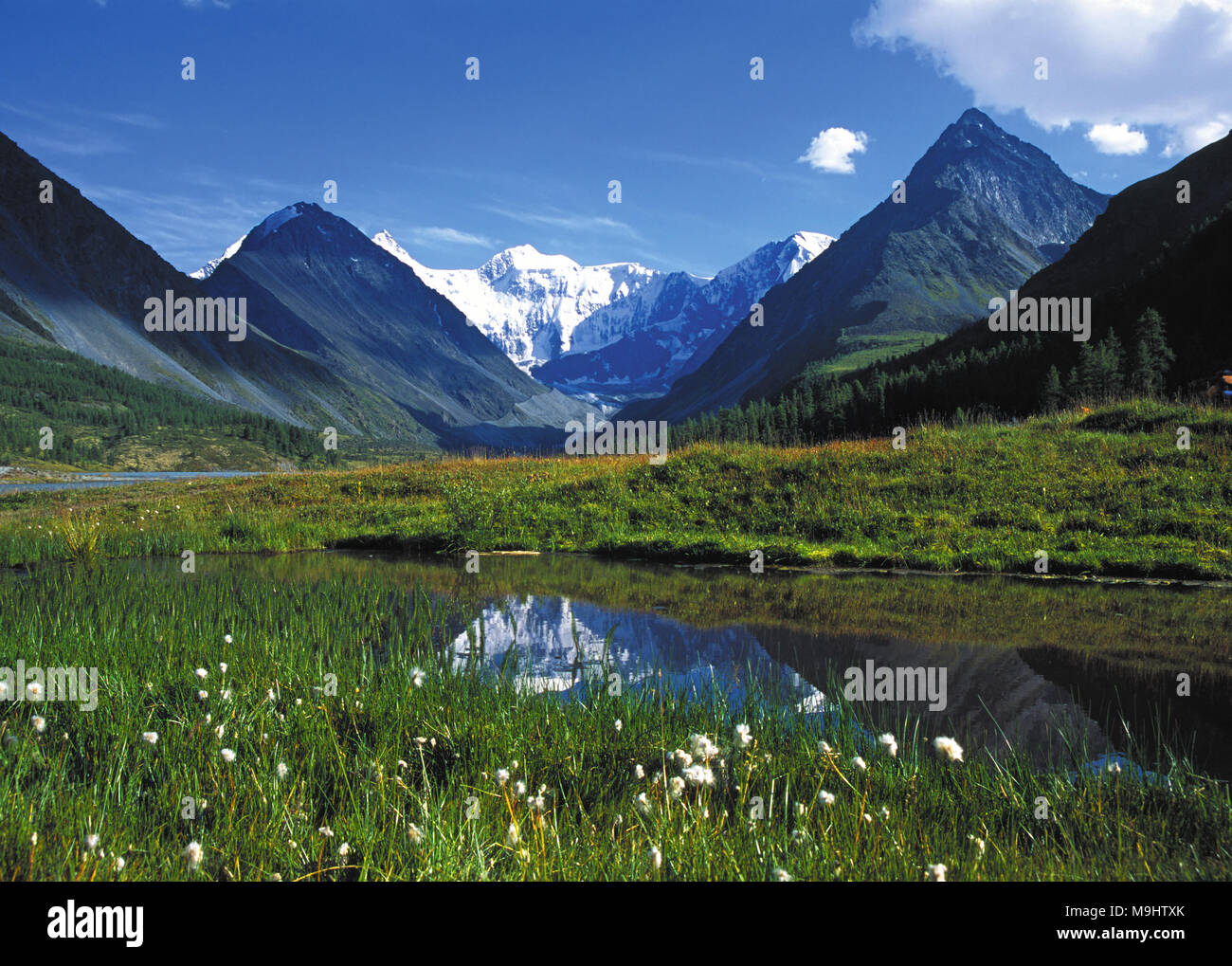 Ak-kem valley and lake. Altai mountains, Russia Stock Photo - Alamy
