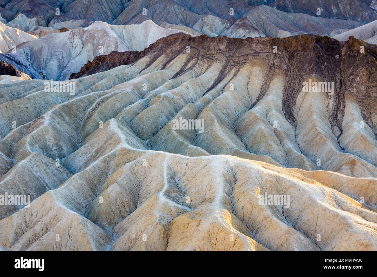 Ridged and rippled, exposing different elements of the underlying rock ...