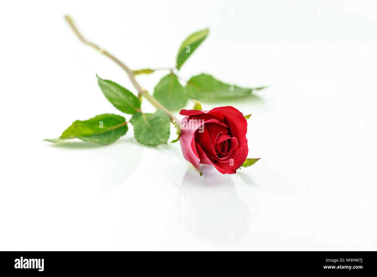 Horizontally if Cut Out Stock Images & Pictures - Alamy