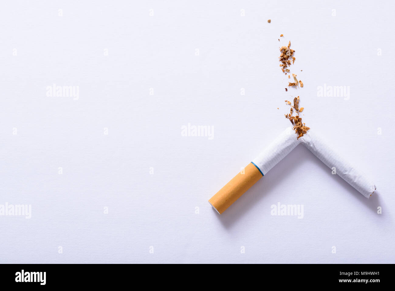 Broken cigarette on a white background with negative space. Quit ...