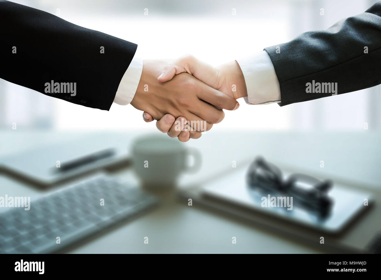 Business Successful handshake and business people Meeting and greeting ...
