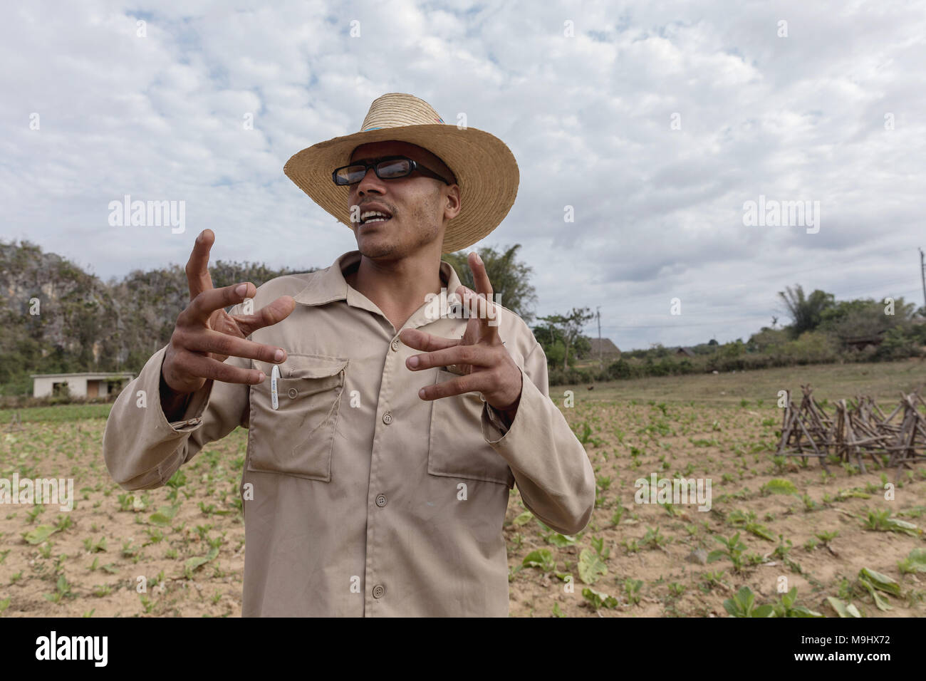Handsome cuban man hi-res stock photography and images - Alamy