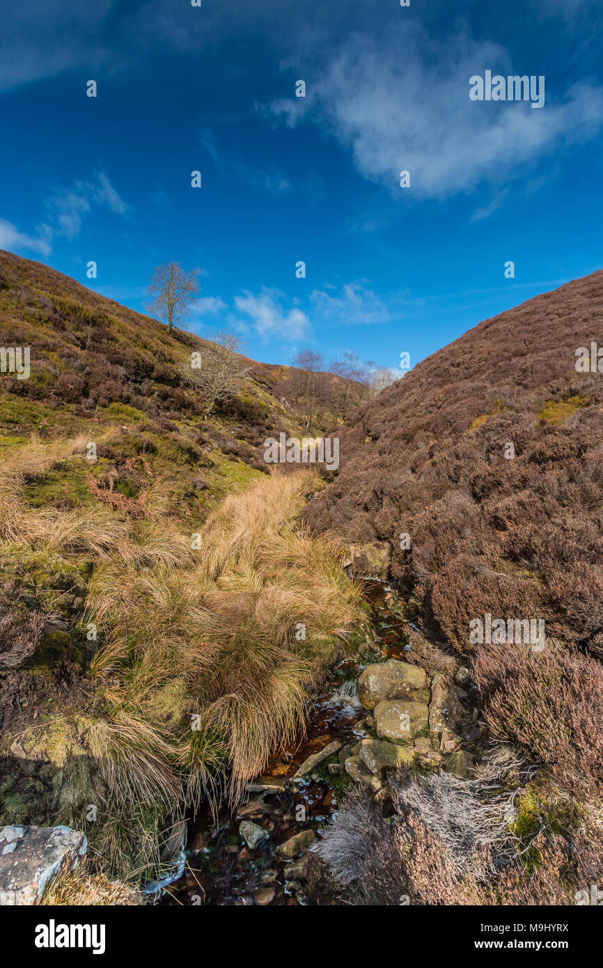 North pennine moors heather hi-res stock photography and images - Alamy