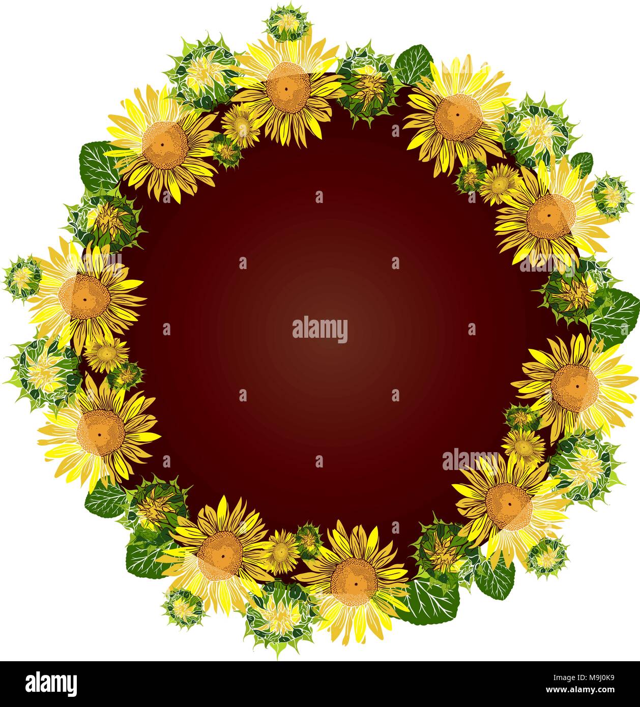 Unopened sunflower Stock Vector Images - Alamy