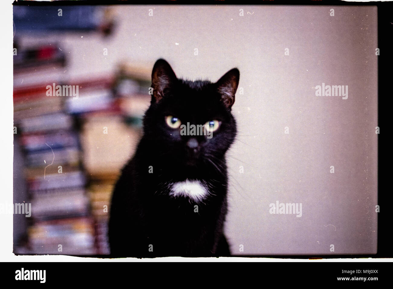 imperfect color film scan from old analog camera with dust and ...