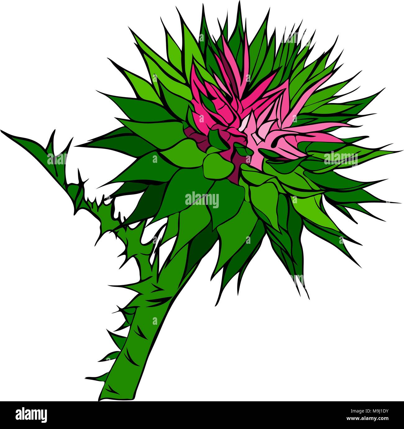 Green flower buds leaves Stock Vector Images - Alamy