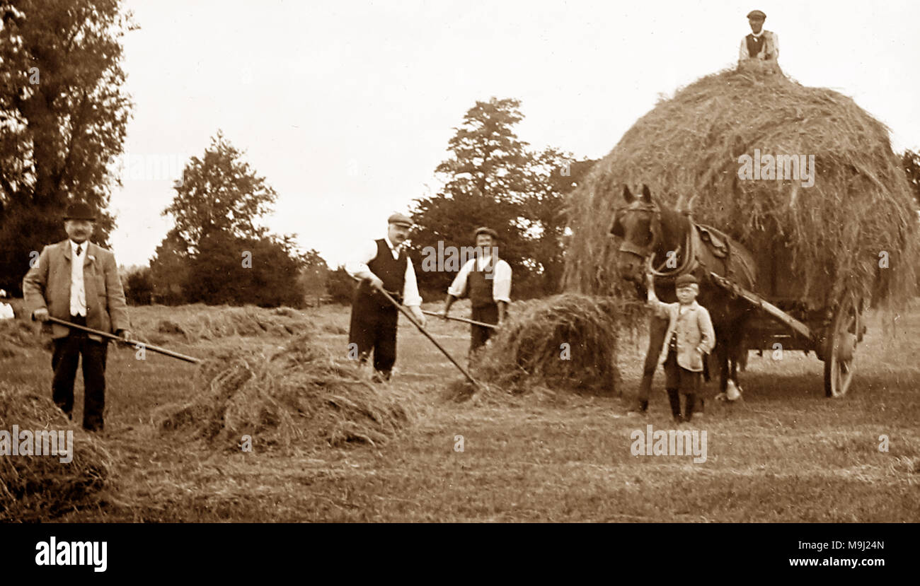 Haymaking hi-res stock photography and images - Alamy