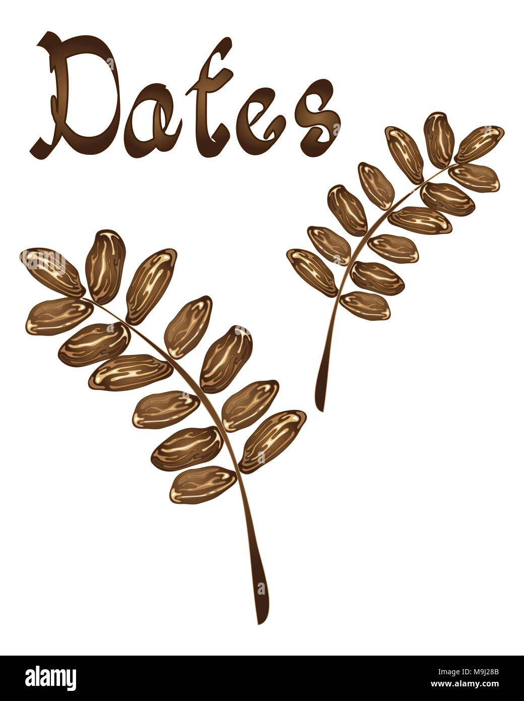 an illustration of dates in a leaf design on a white background with ...