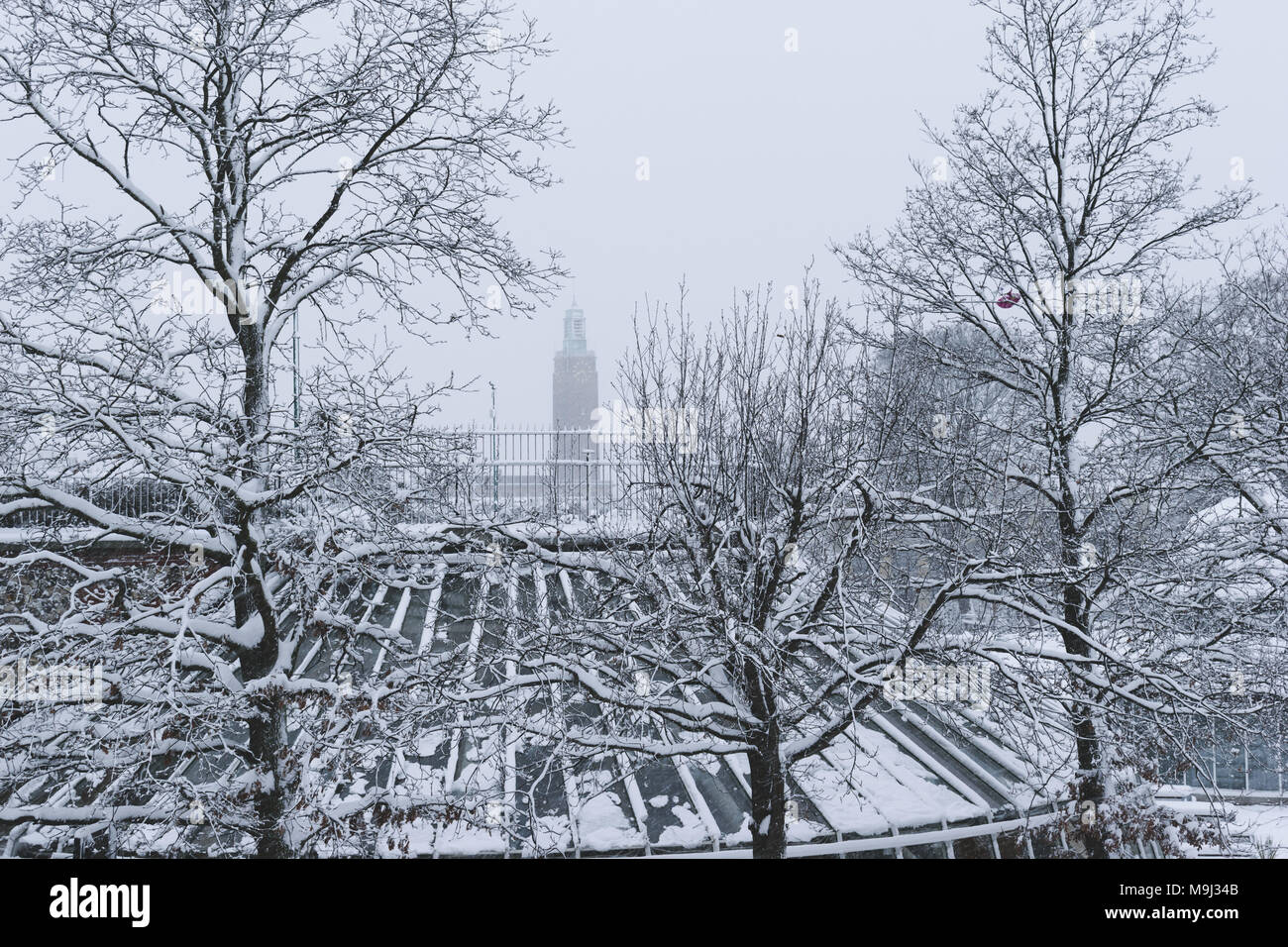 Norwich snow city hi-res stock photography and images - Alamy