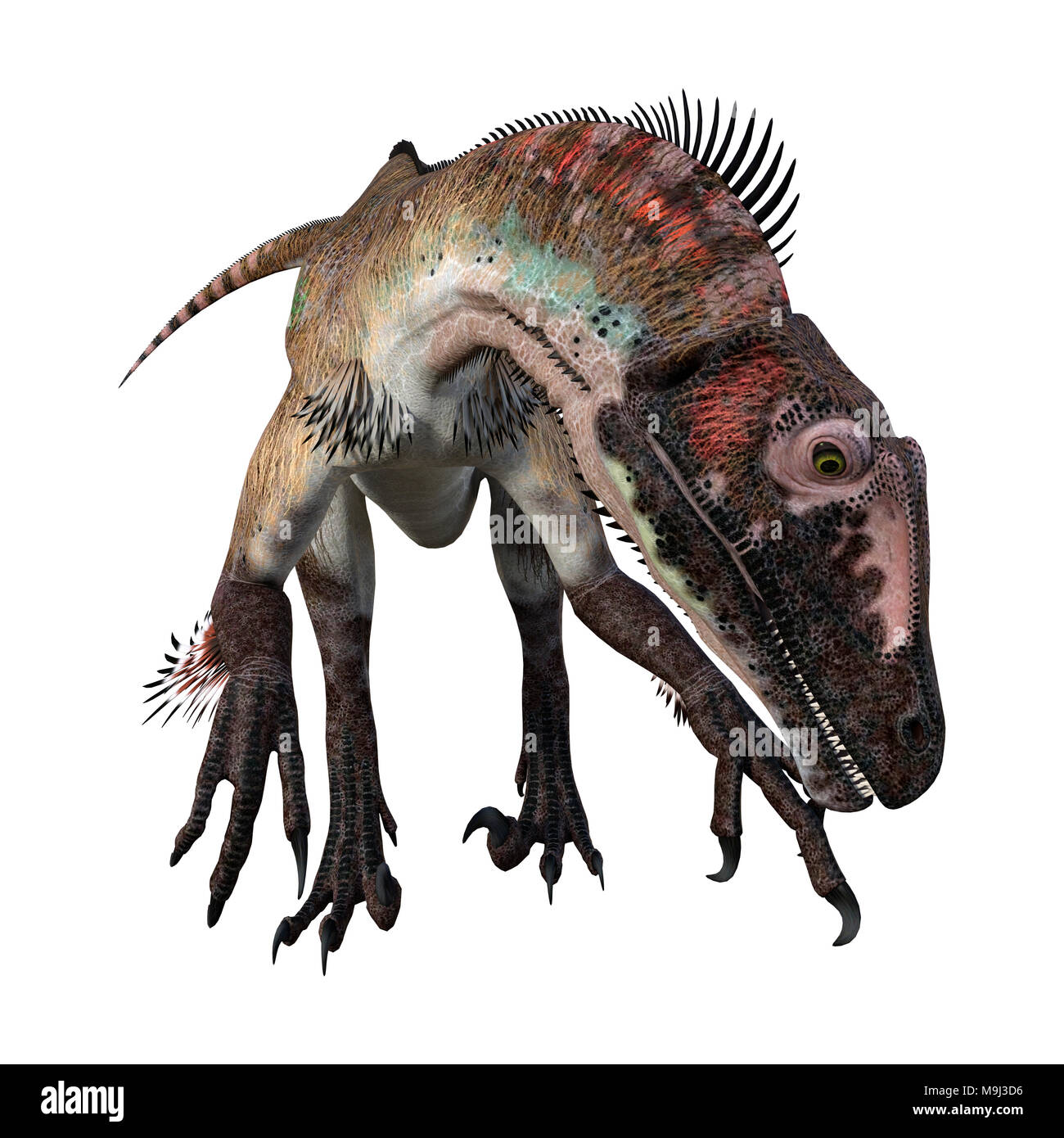 3D rendering of a dinosaur utahraptor isolated on white background ...
