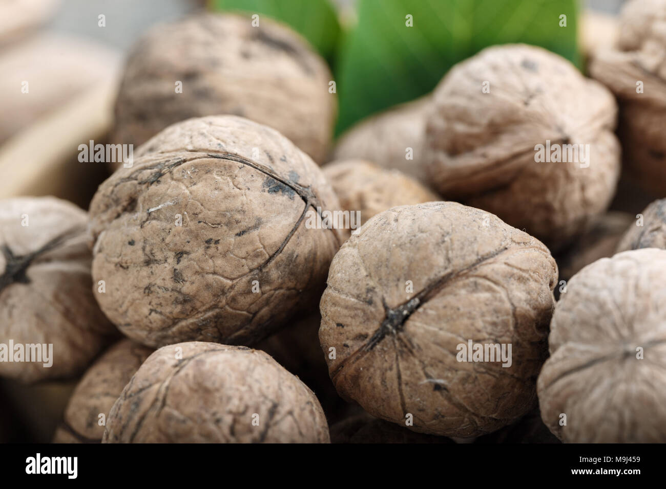 Fresh walnut harvest close-up Stock Photo - Alamy