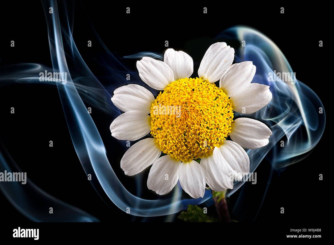 Burn pattern hi-res stock photography and images - Alamy