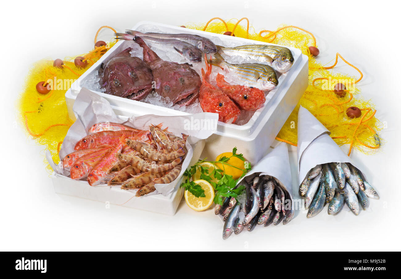 Saltwater fish hi-res stock photography and images - Alamy