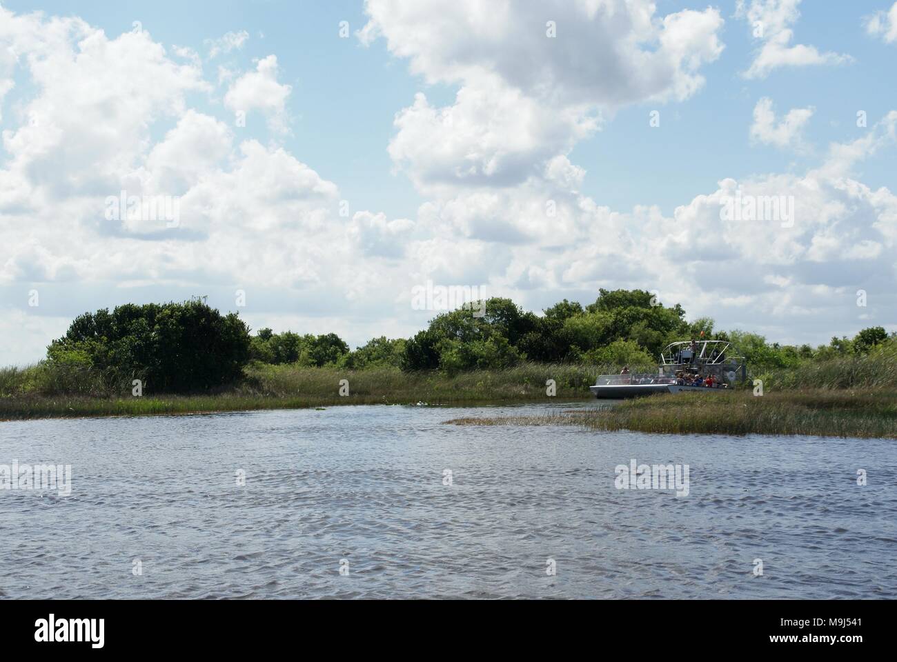 boat tour in the everglades Florida, sunny weather Stock Photo - Alamy