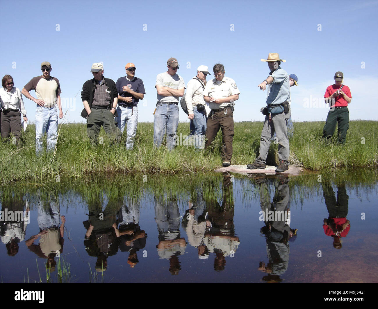 Wildlife conservationists studying pond Stock Photo - Alamy
