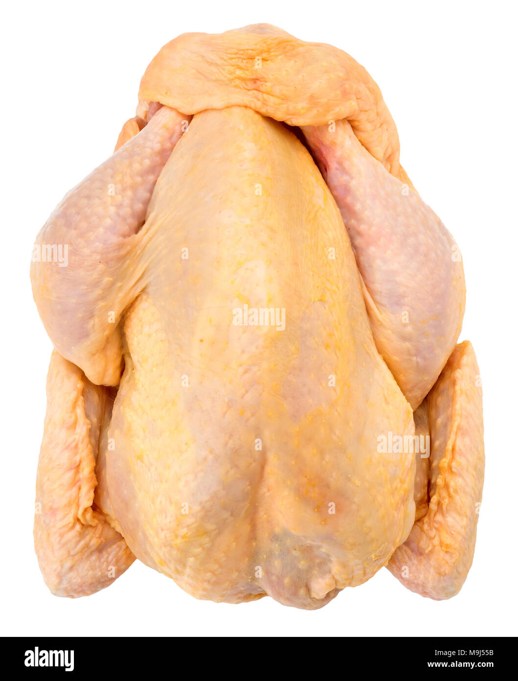 Chicken meat vertical hi-res stock photography and images - Alamy