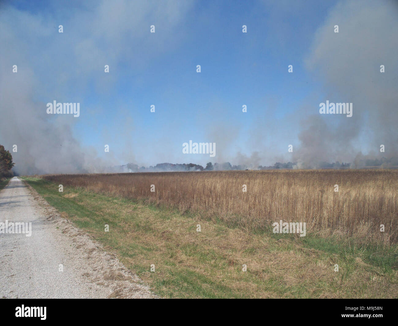 Swan burn hi-res stock photography and images - Alamy