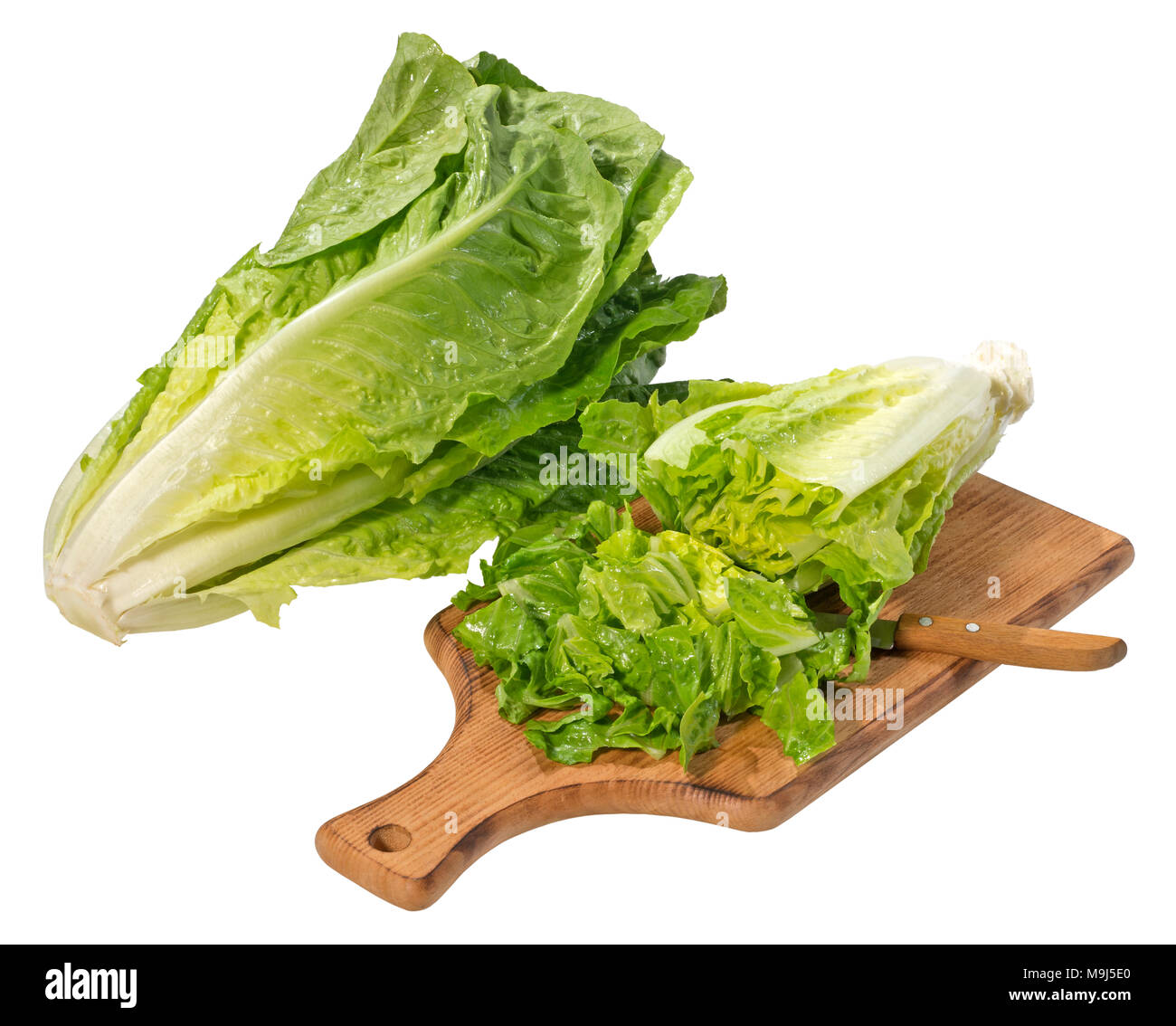 Lettuce cut out hi-res stock photography and images - Alamy