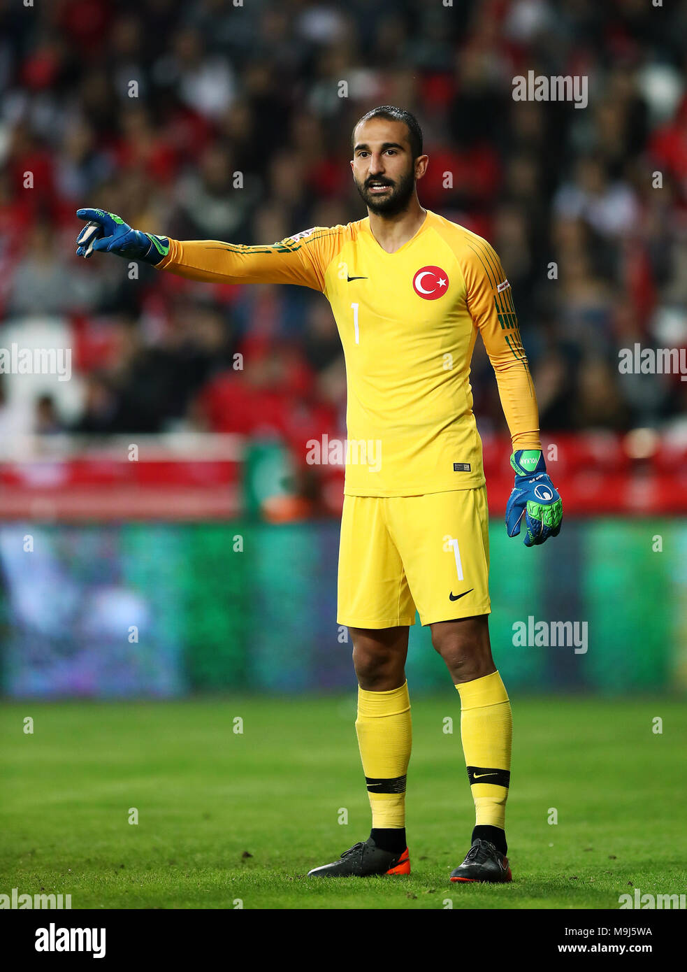 Turkey goalkeeper Volkan Babacan Stock Photo - Alamy