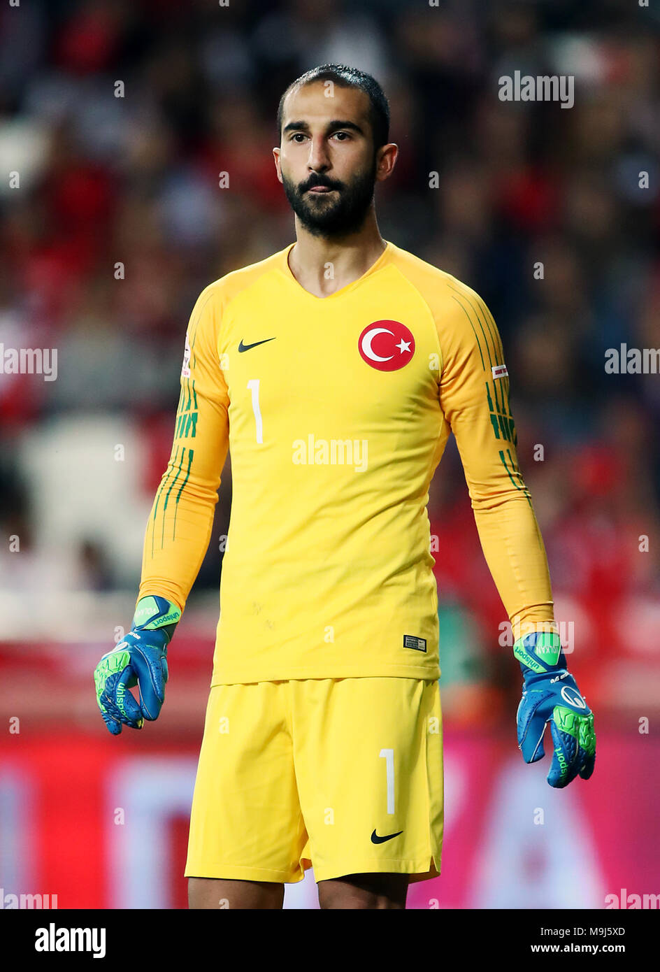 Turkey goalkeeper Volkan Babacan Stock Photo - Alamy