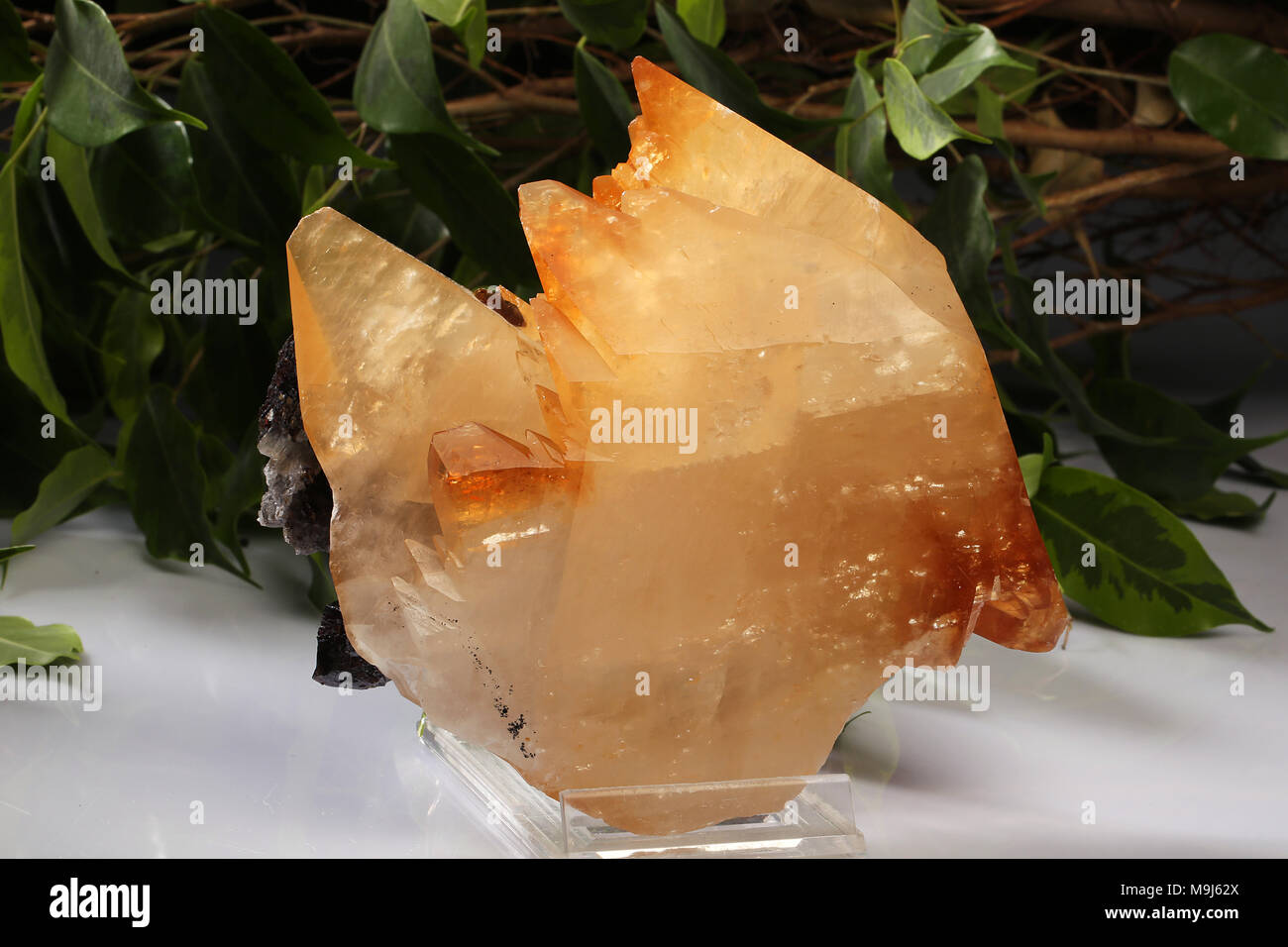 orange calcite from Mexico geology rock stone Stock Photo - Alamy