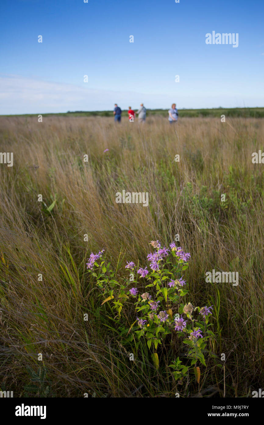 Usa us fws hi-res stock photography and images - Alamy