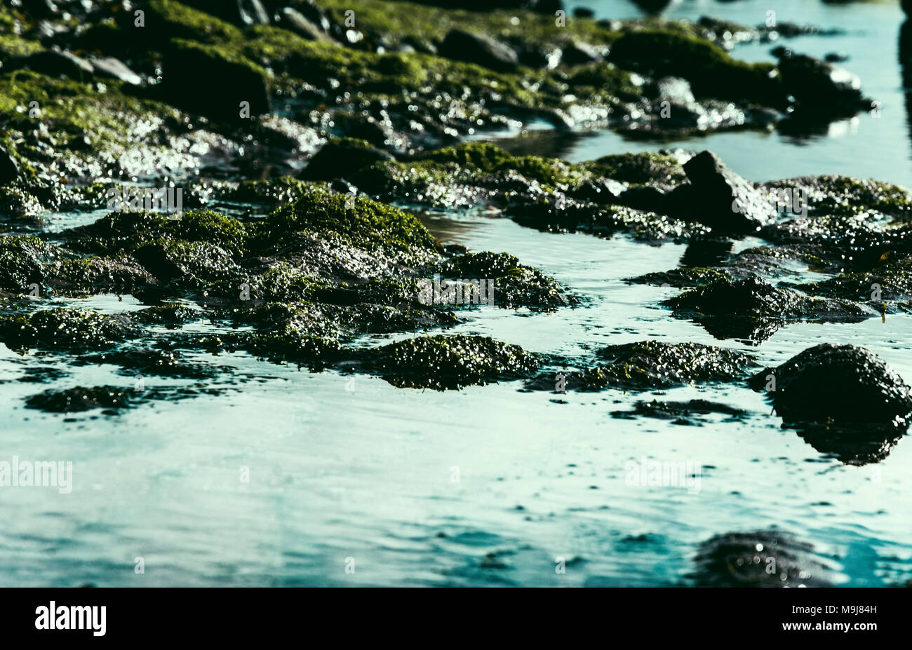 Rocks in Water at Ardrossan Beach, Scotland Stock Photo - Alamy