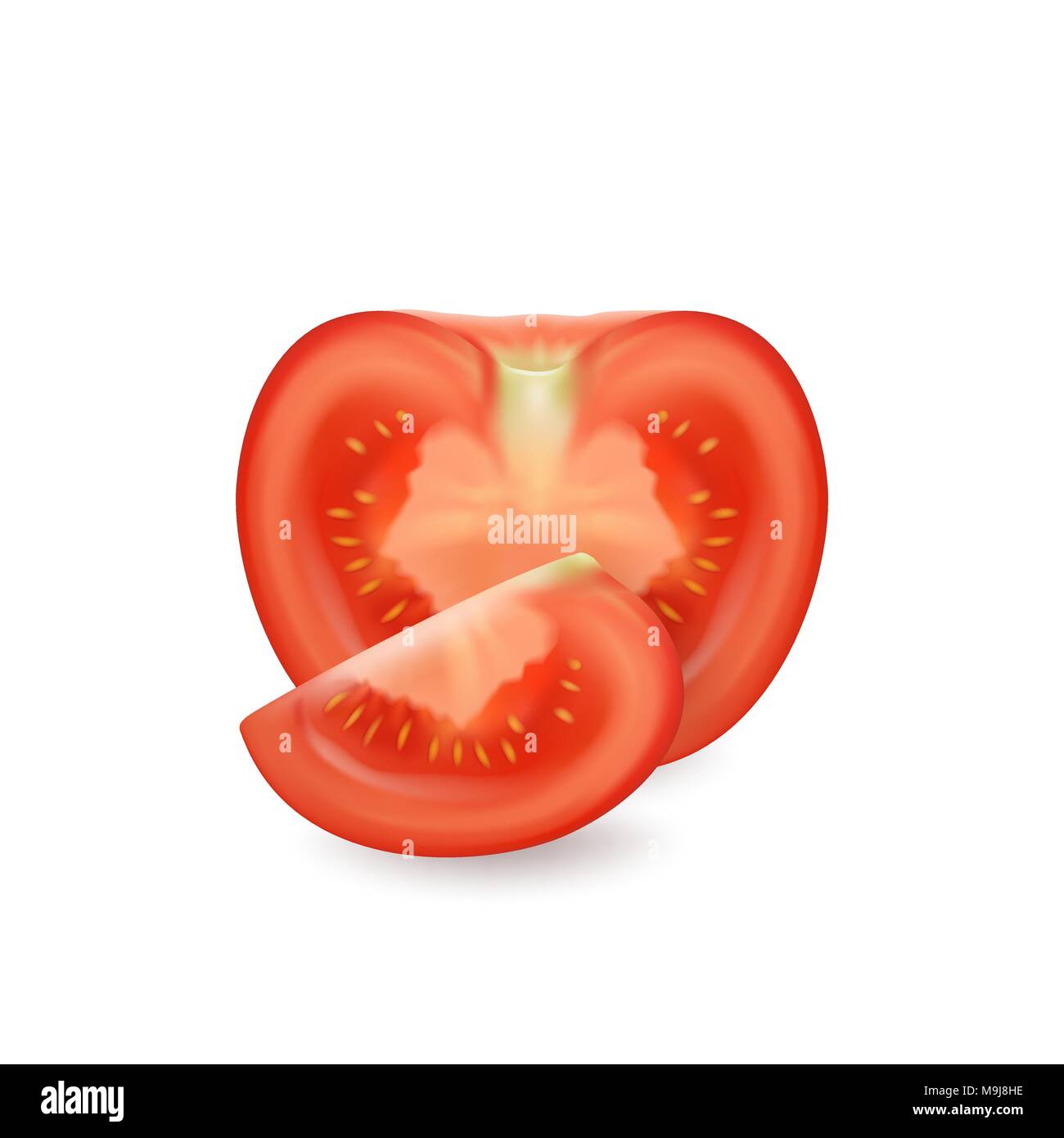 Tomato Slice Template