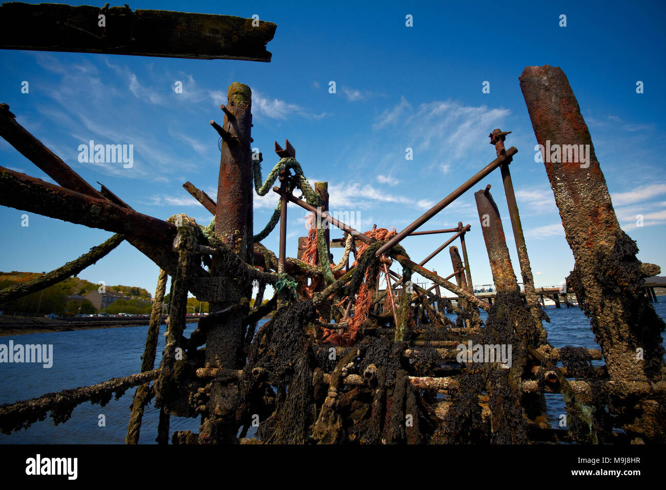 Front Of Gourock High Resolution Stock Photography and Images - Alamy