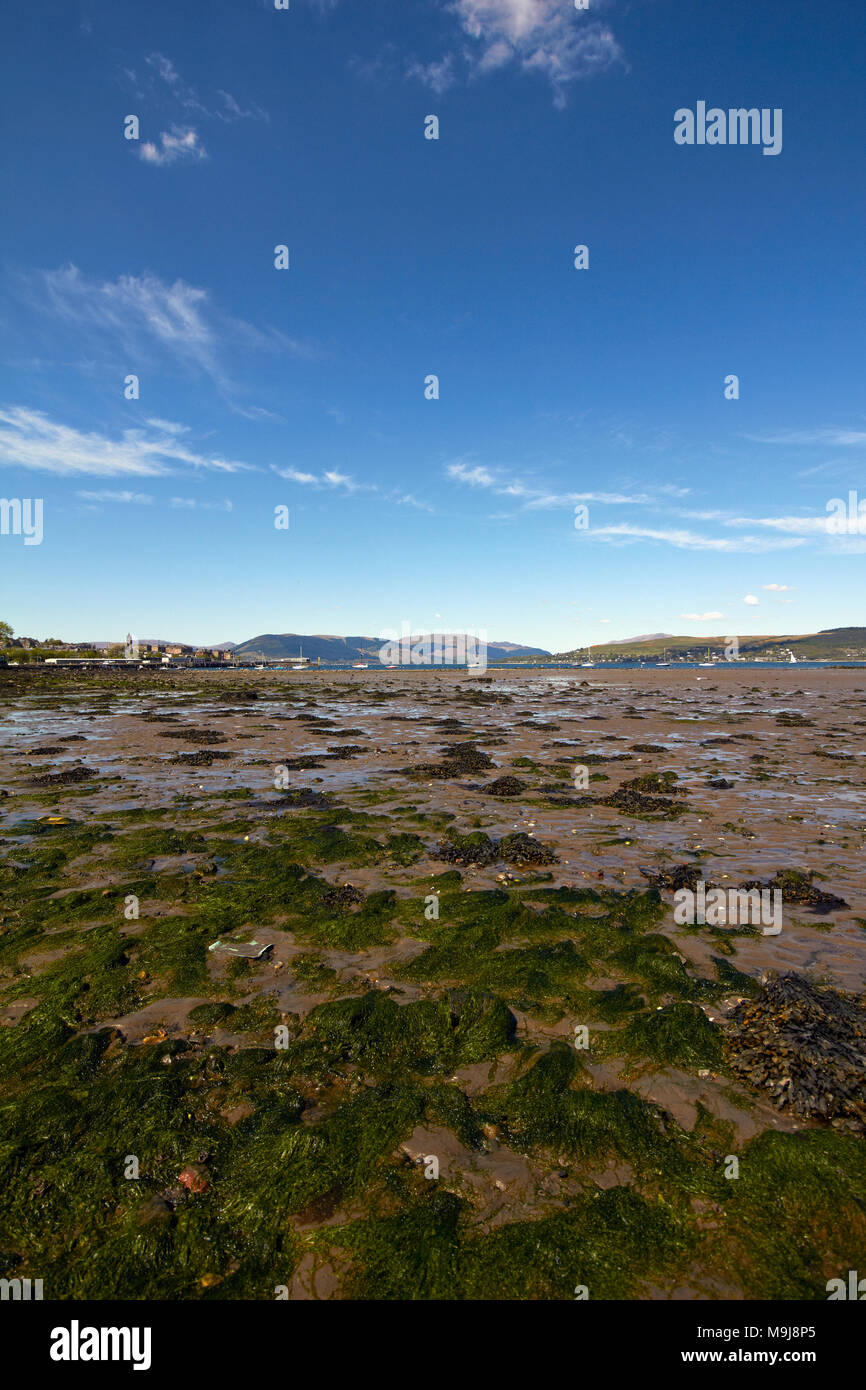Front Of Gourock High Resolution Stock Photography and Images - Alamy