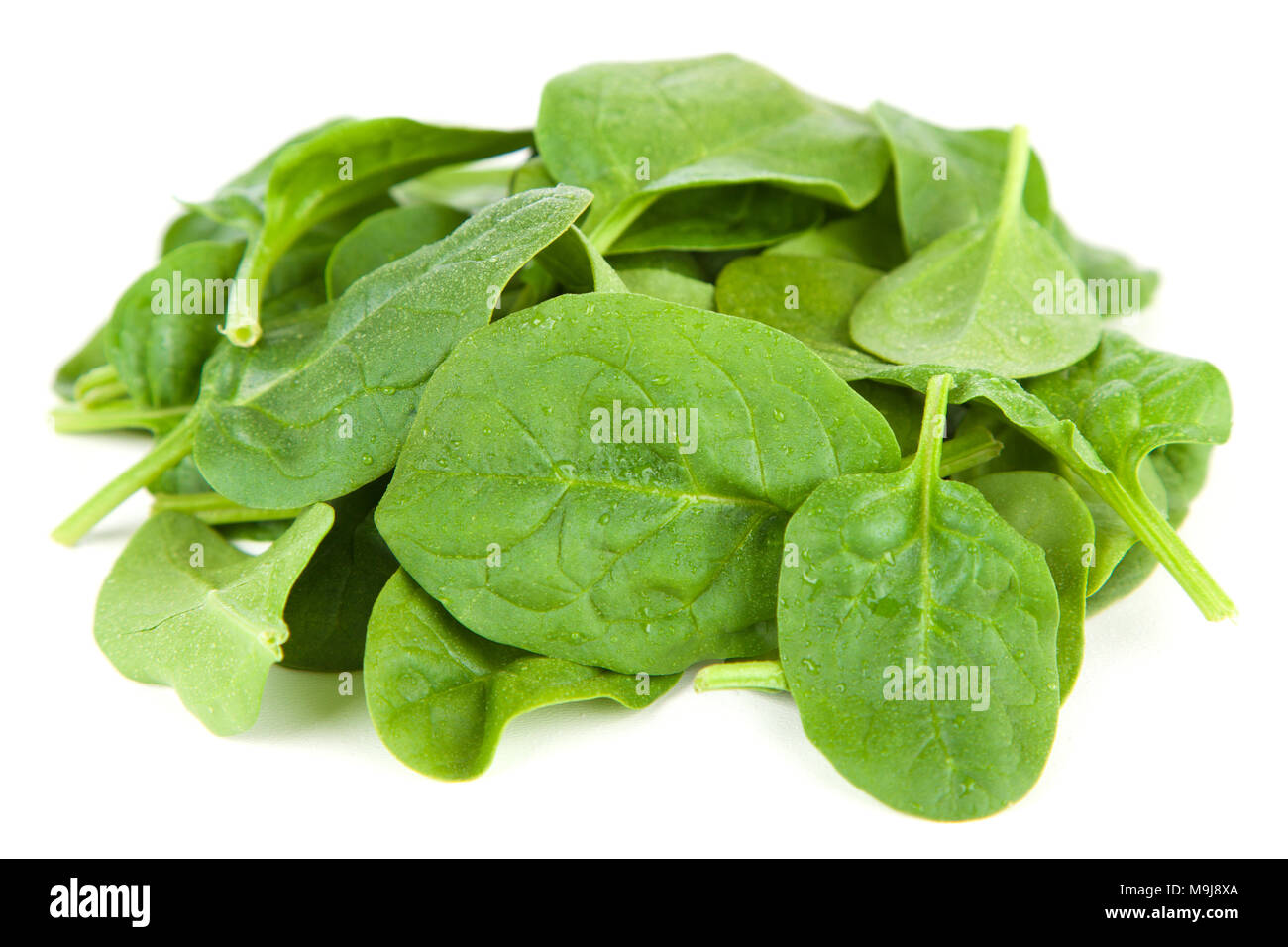Baby spinach leaves Stock Photo - Alamy