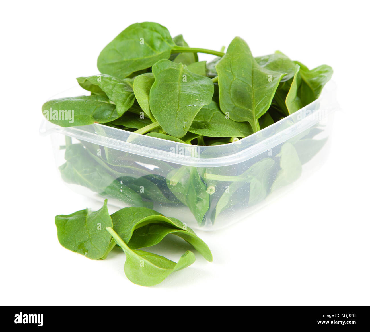 Baby spinach leaves Stock Photo - Alamy
