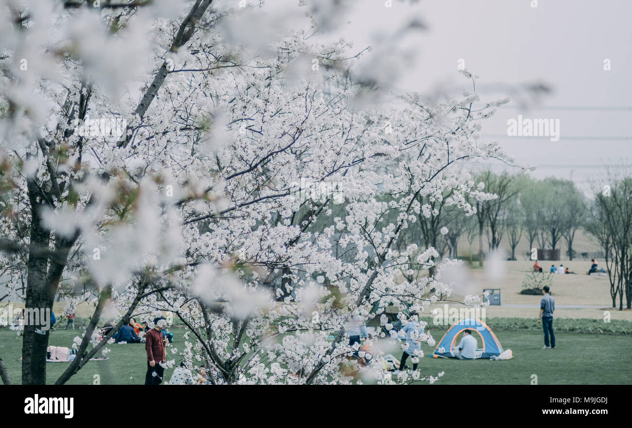 Shanghai, Shanghai, China. 25th Mar, 2018. Shanghai, CHINA-25th March ...