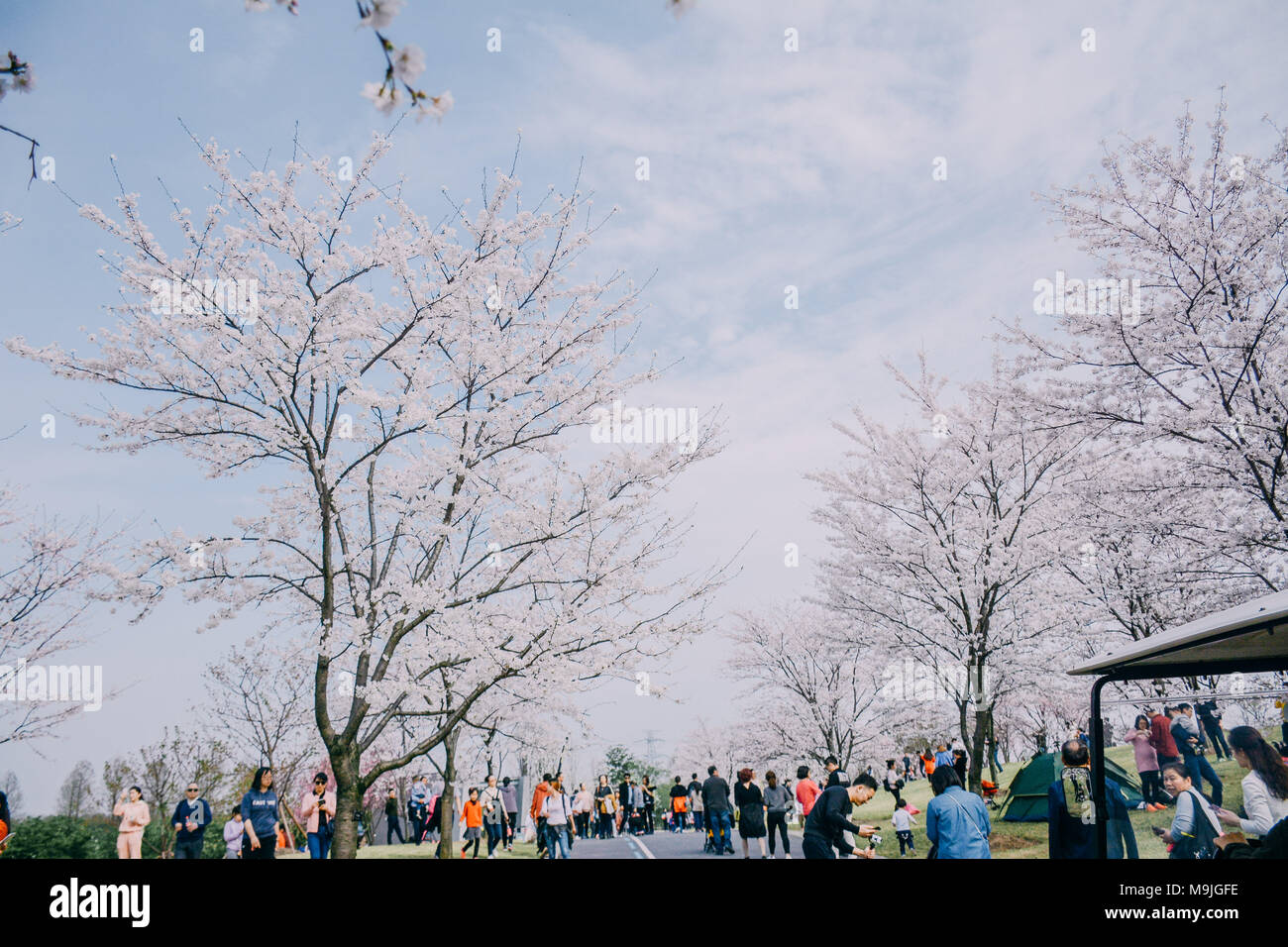 Shanghai, Shanghai, China. 25th Mar, 2018. Shanghai, CHINA-25th March ...