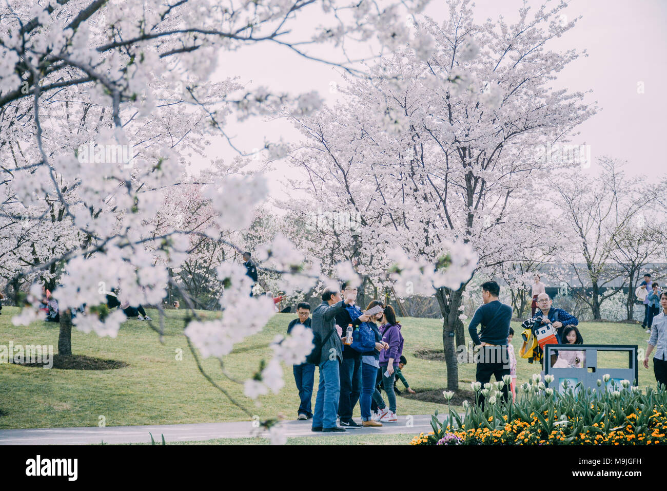 Chenshan botanical garden hi-res stock photography and images - Alamy