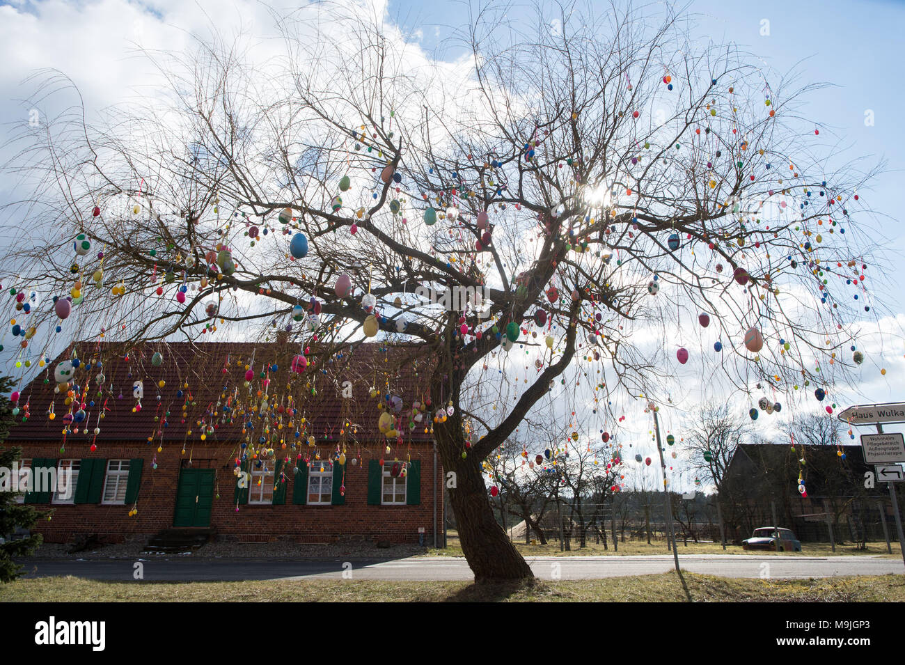 20 March 2018, Germany, Wulkau: Easter eggs hanging from the branches ...