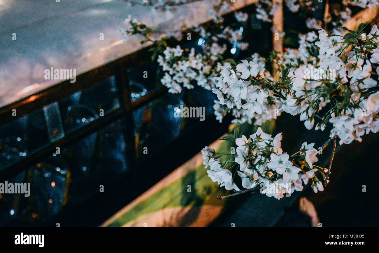 Shanghai, Shanghai, China. 27th Mar, 2018. Shanghai, CHINA-26th March ...