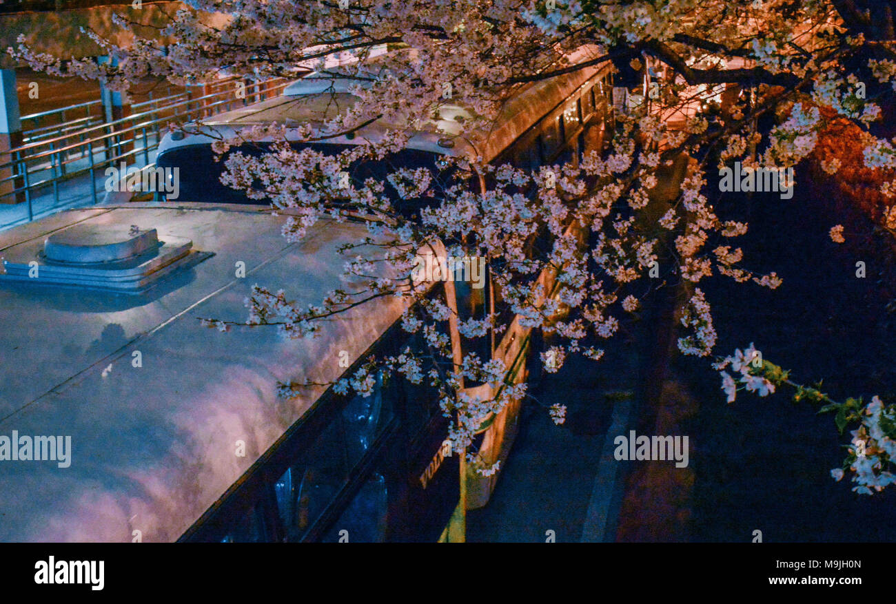 Shanghai, Shanghai, China. 27th Mar, 2018. Shanghai, CHINA-26th March ...