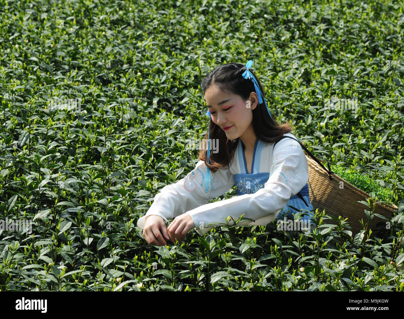 Hangzhou, Hangzhou, China. 27th Mar, 2018. Hangzhou, CHINA-27th March ...