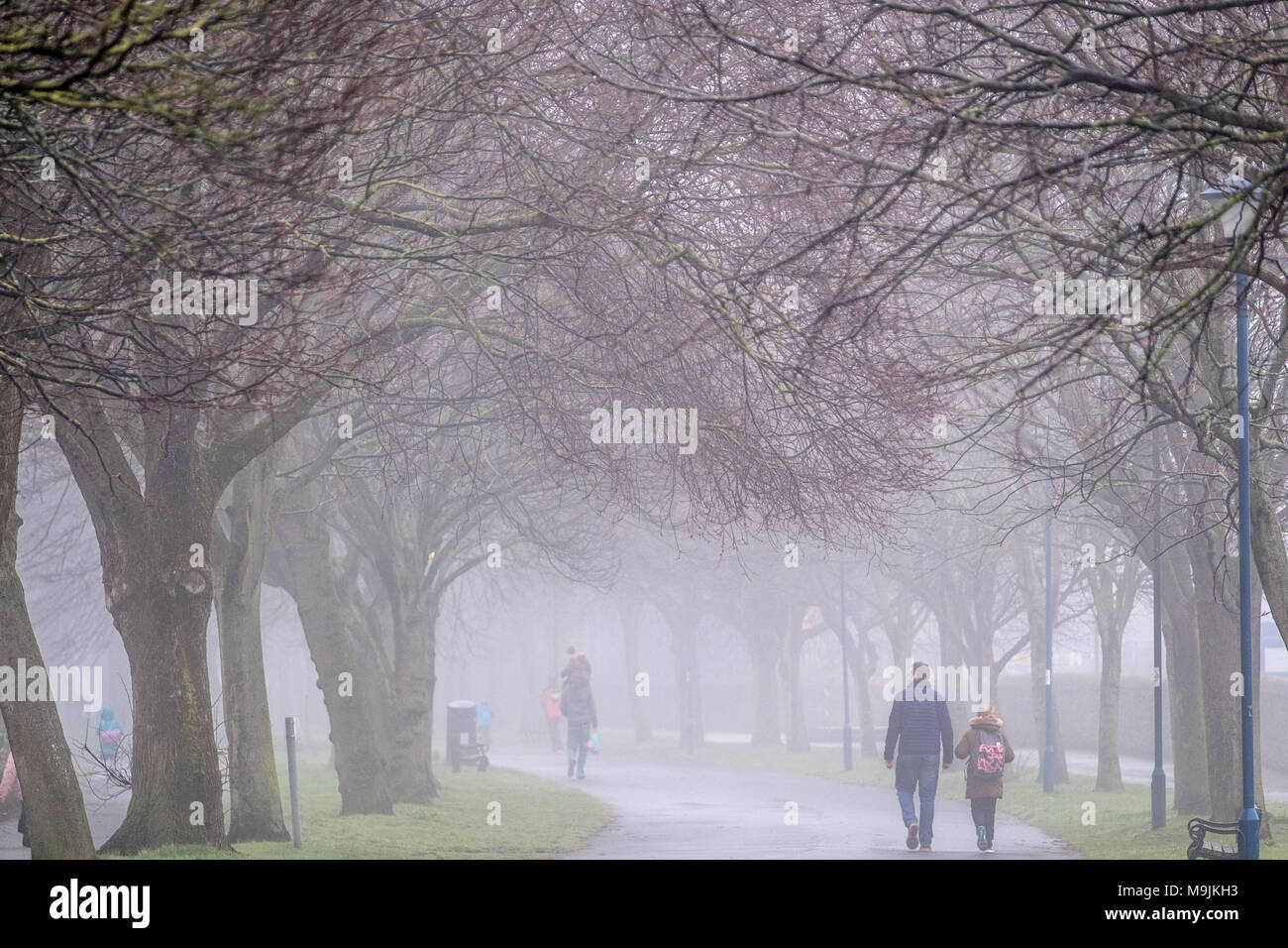 Plascrug primary school aberystwyth wales hi-res stock photography and ...