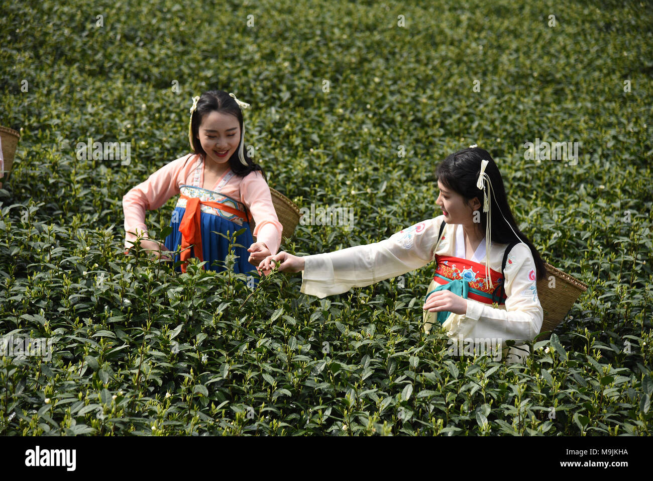 Hangzhou, Hangzhou, China. 27th Mar, 2018. Hangzhou, CHINA-27th March ...