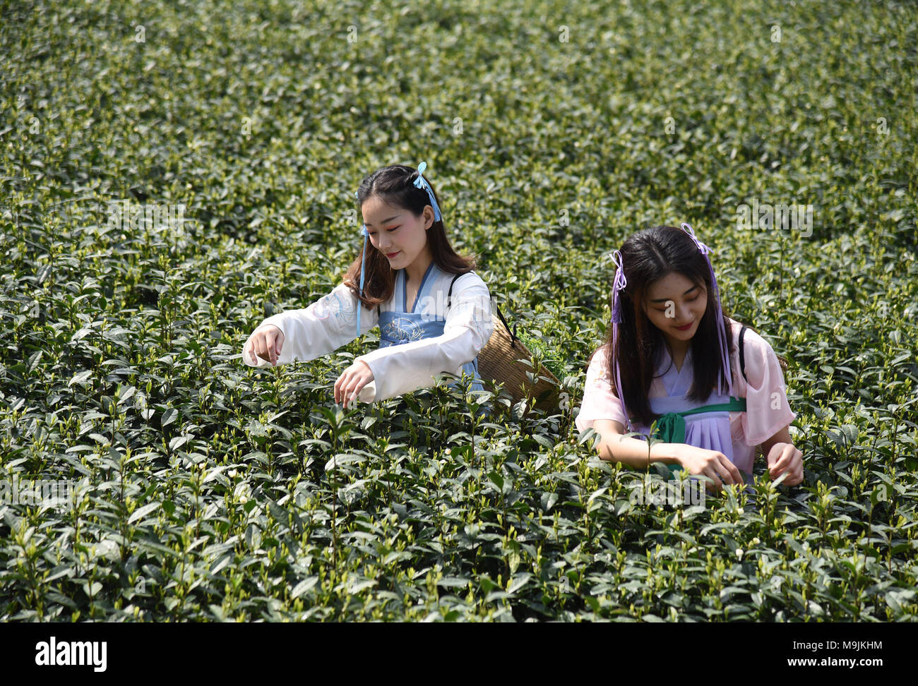 Hangzhou, Hangzhou, China. 27th Mar, 2018. Hangzhou, CHINA-27th March ...