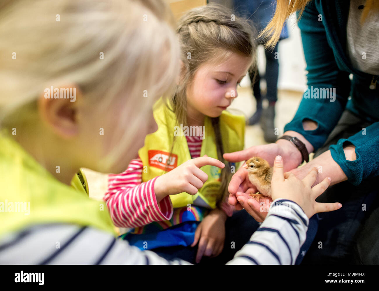 27 March 2018, Germany, Braunschweig: Mila (L) and Anna stroking a ...