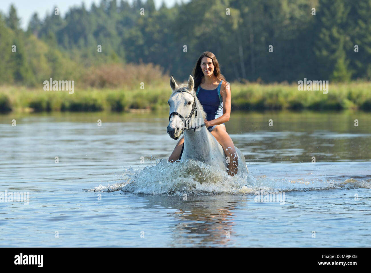 Riding bareback on connemara pony hi-res stock photography and images ...