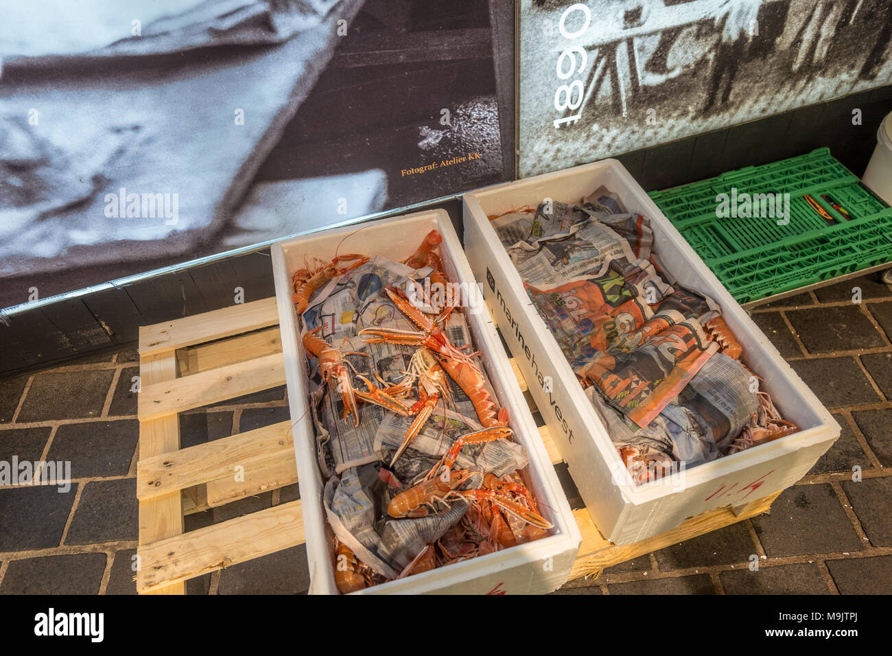 Bergen Fish Market, Bergen, Norway Stock Photo - Alamy