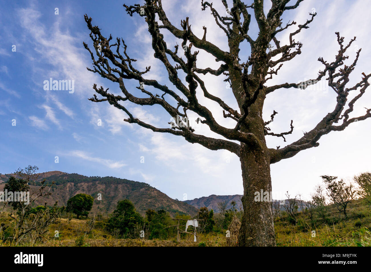 Dehra dun mountain hi-res stock photography and images - Alamy