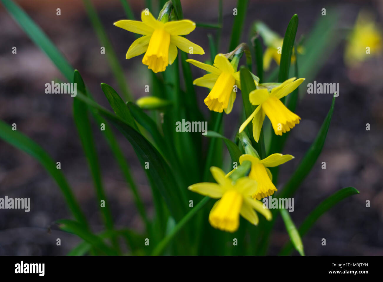 Nature, Park Walk, Colors Stock Photo - Alamy