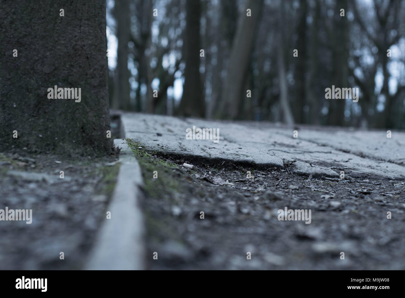 Nature, Park Walk, Colors Stock Photo - Alamy