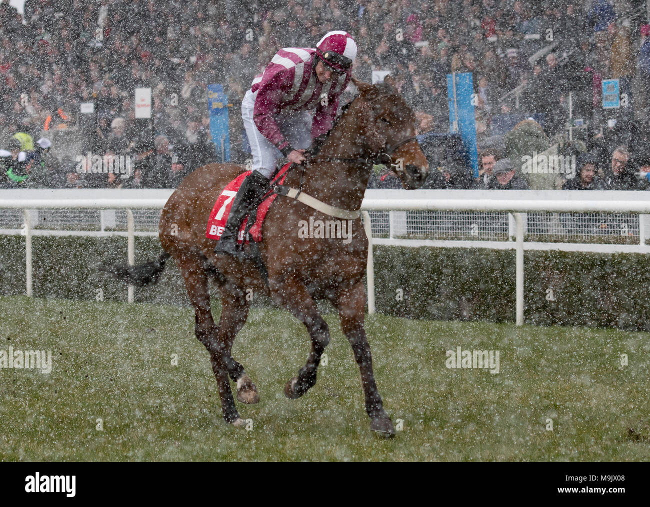 Uttoxeter racecourse hi-res stock photography and images - Alamy